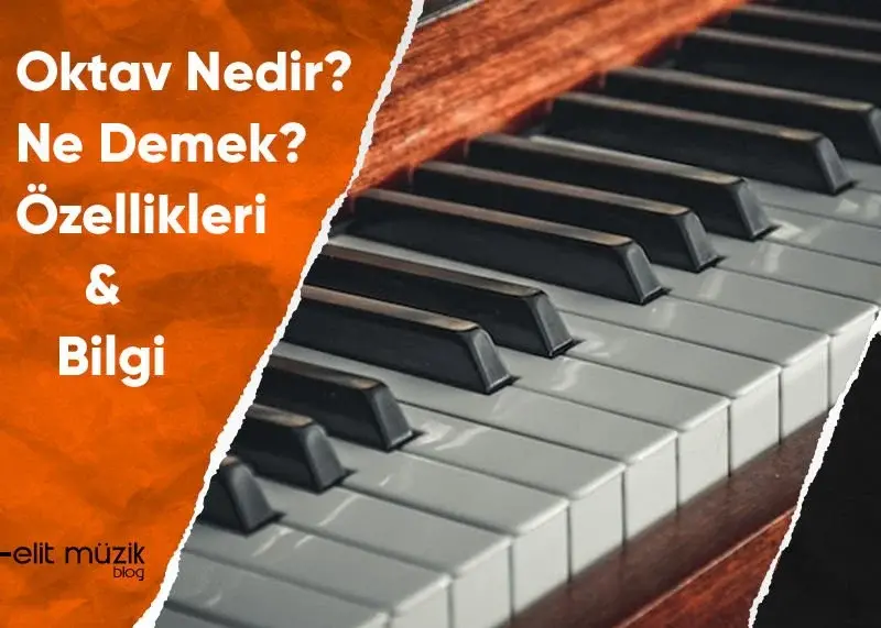 Oktav Ne Demek? Özellikleri – Bilgi | Elit Müzik